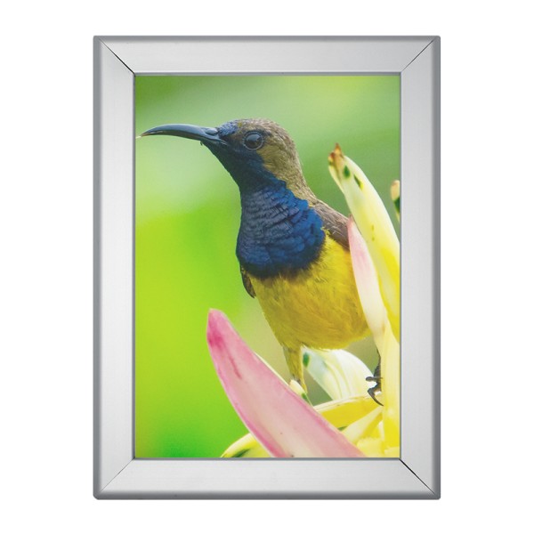 PICTURE FRAME CON CORTE 45 GRADOS 210 X 297 MM. | 346A-A4-45 – Expomex