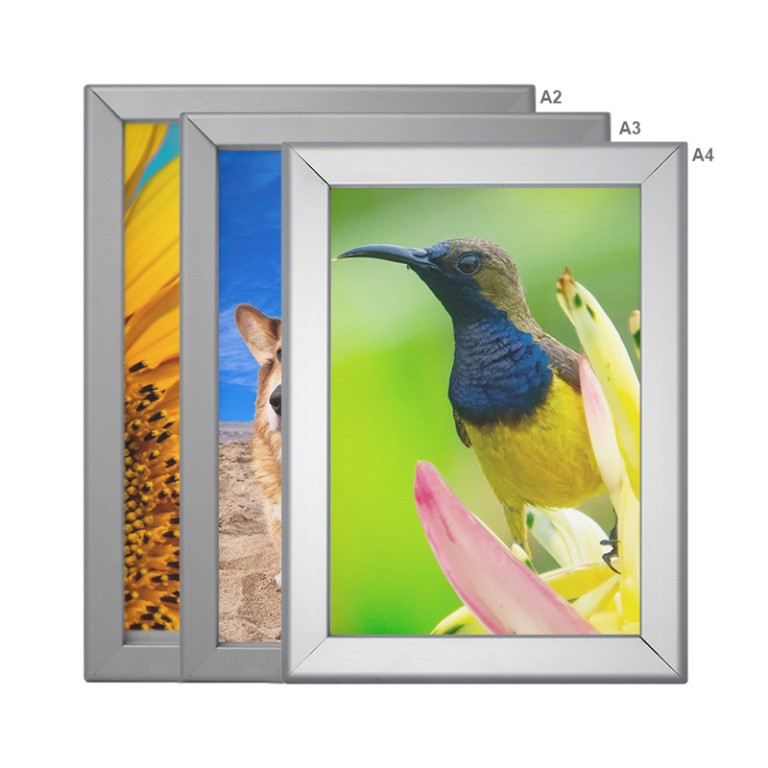 PICTURE FRAME CON CORTE 45 GRADOS 210 X 297 MM. | 346A-A4-45 - Expomex